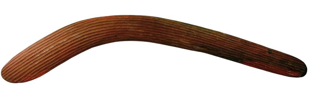 Central Australian Fluted Boomerang: Traditional Indigenous Hunting ...