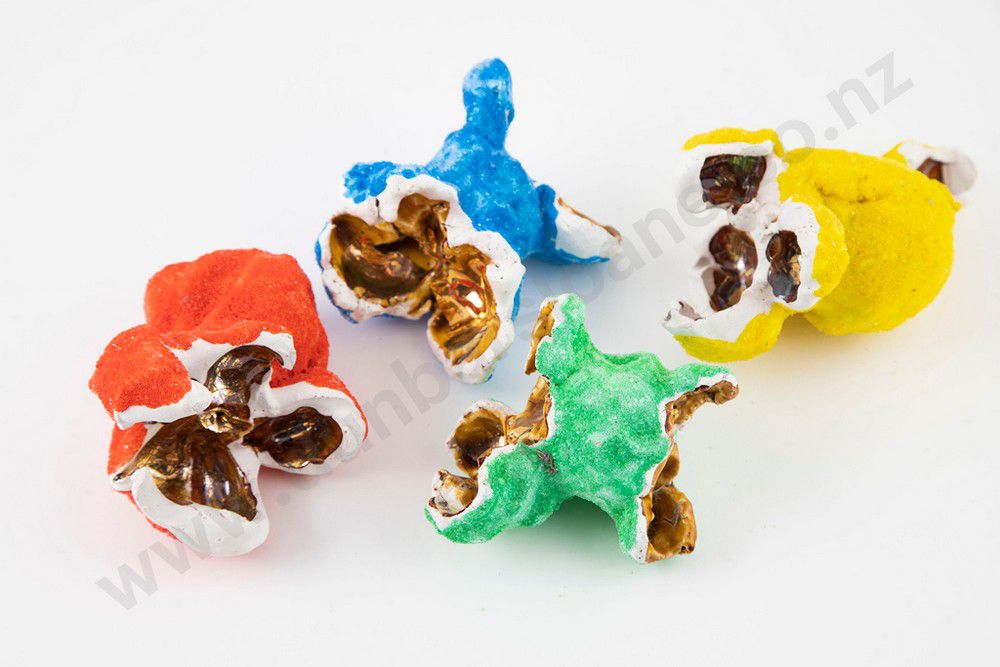 Madeline's Popcorn Variety Pack - New Zealand Potters & Themes - Ceramics