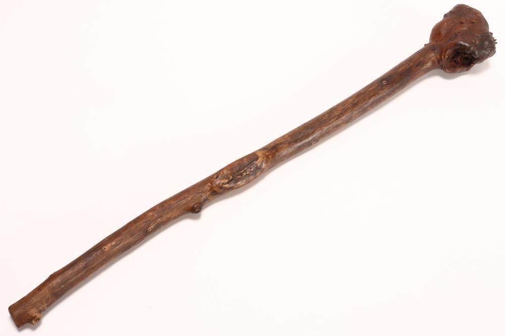 Aboriginal Mallee Root Waddy Club, 71 cm, Hofmaier Collection ...