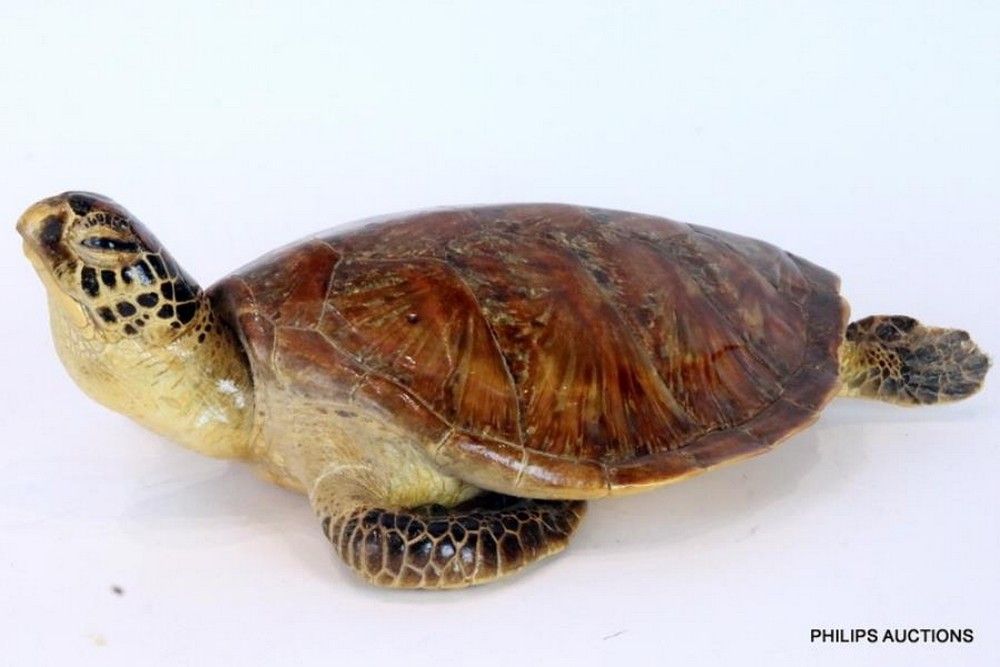 Mid-20th Century Pacific Green Sea Turtle Taxidermy - 54cm - S/E Asia ...
