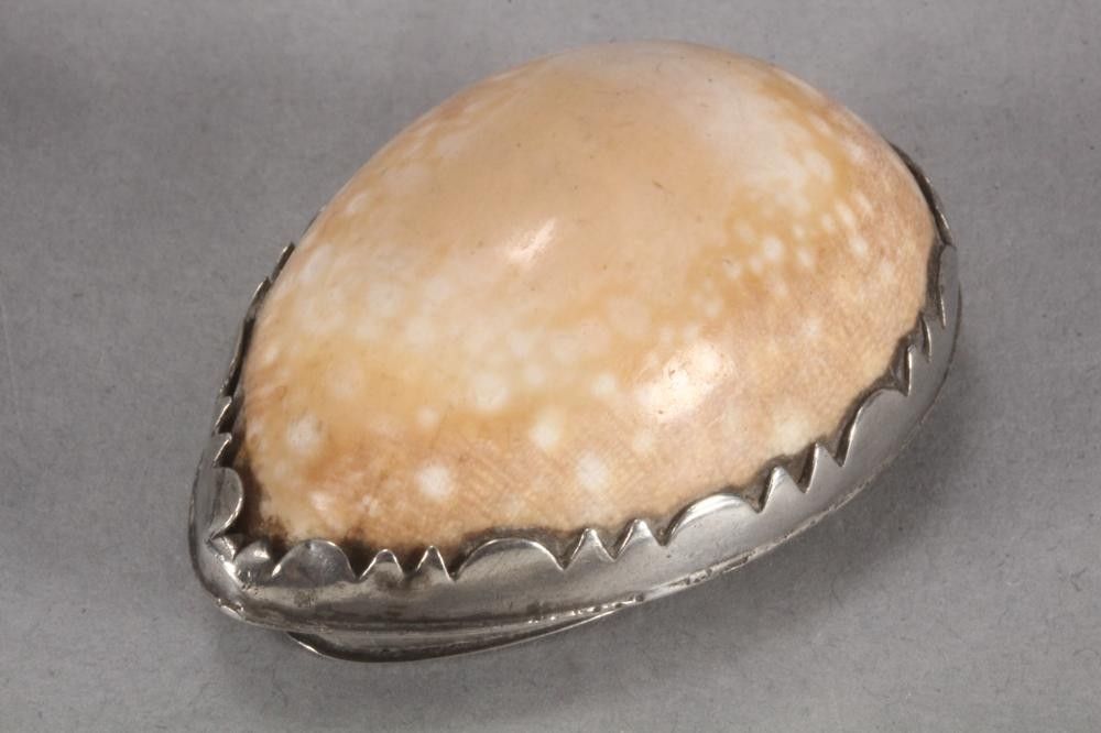 Georgian Silver Cowrie Shell Snuff Box with Incised Heart - Snuff ...