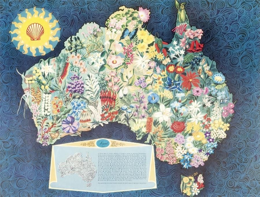 Australian Map with Flowers & Shells of New South Wales - Prints ...