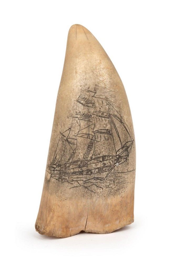 Tall Ship Portrait on Scrimshaw Whale Tooth, 16cm High - Scrimshaw ...