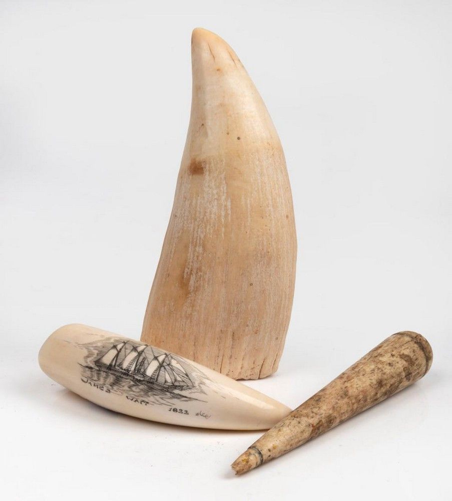 Antique Whalebone Fid and Scrimshaw Whale's Tooth Collection ...