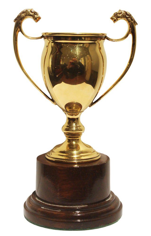 9ct Gold Trophy on Wooden Stand - 15.5cm Height - Gold cups and ...
