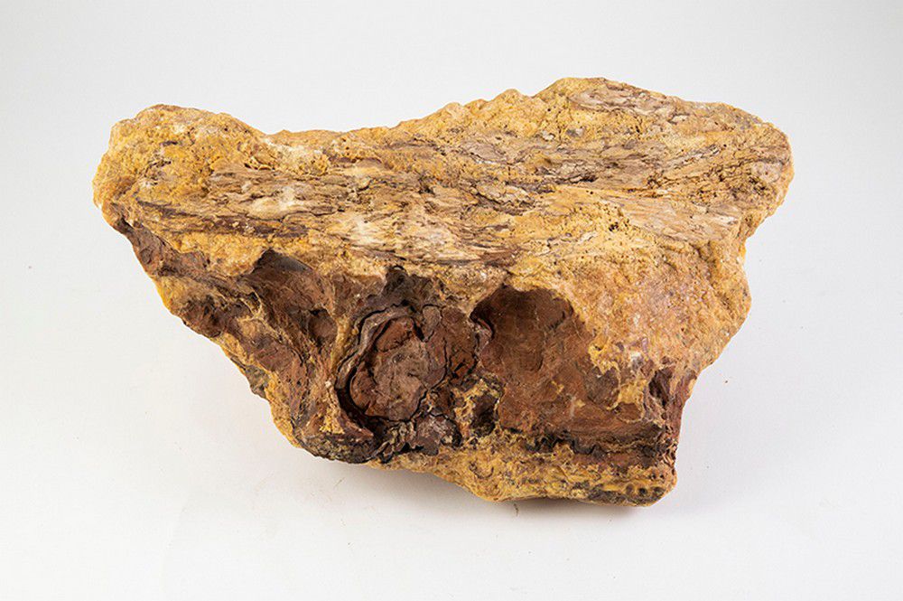 Giant Natural Amber Nugget - Natural History - Industry Science ...