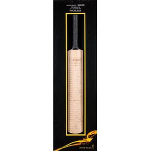 Ricky Ponting (Australia), cricket memorabilia - price guide and values