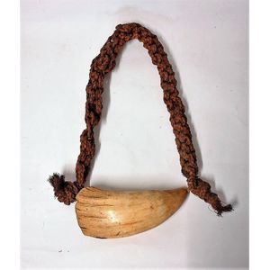 Fiji tribal artefacts, tabua (polished tooth) - price guide and values