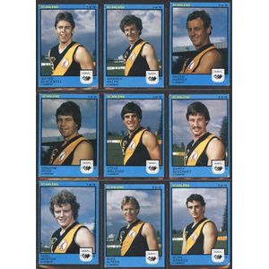 1982 Scanlen's WAFL 'League Football' complete set with checklists ...