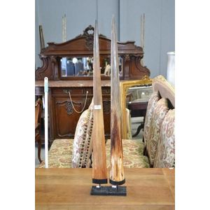 Taxidermied swordfish / sawfish rostrum (bills) - price guide and values