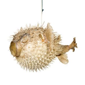 Mid-century Pufferfish Hanging Light - Ceiling and Pendant Lights ...