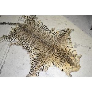Vintage leopard, cheetah and jaguar skin rugs - price guide and values
