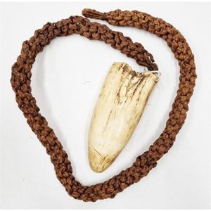 Fiji tribal artefacts, tabua (polished tooth) - price guide and values