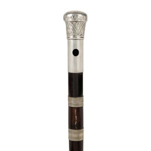 19th Century Musical Walking Stick with Silver Top and Ebony Shaft ...