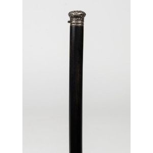 19th Century Whisky Cane with Hidden Glass Tube - Walking Sticks ...