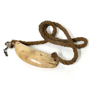 Fiji tribal artefacts, tabua (polished tooth) - price guide and values