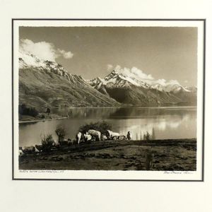 George Chance (New Zealand), photographs - price guide and values