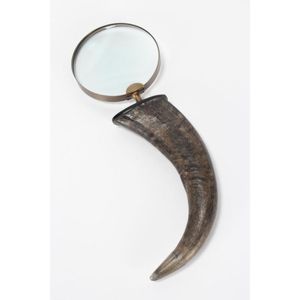 Horn-handled Magnifying Glass - 37cm Length - Optical - zOther ...