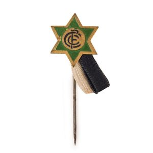 Rare Carlton 'CFC' Star Lapel Pin with Blue Ribbons - Sporting - AFL ...