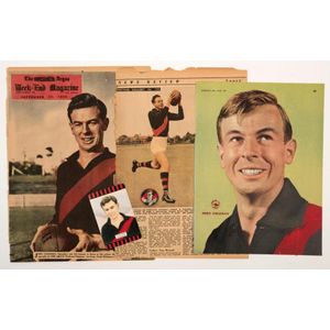 Coles trading cards - price guide and values