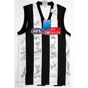 Souvenir or collectable Melbourne Football Club jumpers - price guide ...