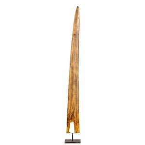 Swordfish Bill Display Stand - Height: 72cm - Natural History ...