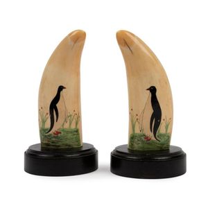 Taxidermied whale tooth / teeth - price guide and values