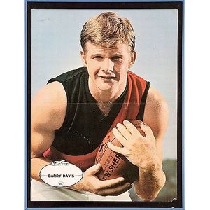 Vintage Football Posters Collection (1964-1996) - Sporting - AFL/VFL ...