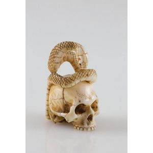 Skull & Snake Ivory Netsuke - Netsuke - Oriental