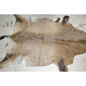 2m African Antelope Skin Rug - Natural History - Industry Science ...
