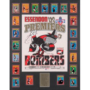 Essendon 1993 Premiers Display with Signed Poster and Cards - Sporting ...