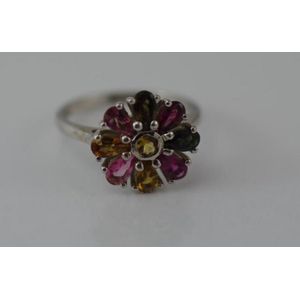 Silver Gemstone Multicolour Ring - Rings - Jewellery