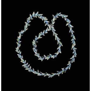 Australian Aboriginal artefacts: shell necklaces (maireener / mariner ...