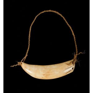 Fijian Sperm Whale Tooth Pendant with Neckband - S/E Asia, Oceania ...