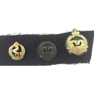 NZ Mounted Rifles Reinforcements Cap Badge (23rd/24th) - Medals, Badges ...