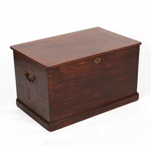 19th Century Australian Cedar Flip-Top Trunk with Dovetailed Joinery ...