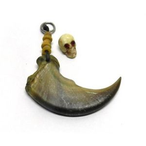 Tiger's Claw and Bone Skull Pendant Set - Pendants/Lockets - Jewellery