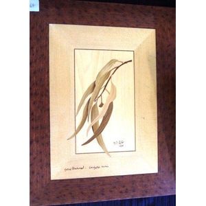 Australian Marquetry Panel by Michael Retter - Zother - Art