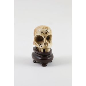 Ivory Skull Netsuke - Netsuke - Oriental