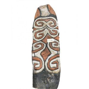 Green River War Shield - New Guinean - Tribal