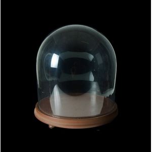 Antique Victorian glass domes - price guide and values