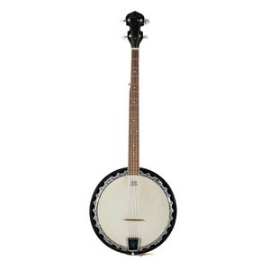 Vintage banjo from 1920s to 1970s - price guide and values