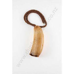 Fijian ceremonial ivory tooth with woven binding - S/E Asia, Oceania ...