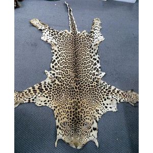 Vintage leopard, cheetah and jaguar skin rugs - price guide and values