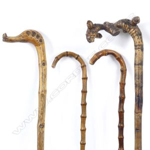 Vintage Bamboo Walking Sticks with Root Handles - Zother - Oriental