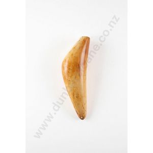 Fiji tribal artefacts, tabua (polished tooth) - price guide and values