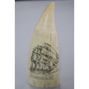 Scrimshaw whale's teeth, ivory and bone - price guide and values