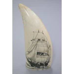 Scrimshaw whale's teeth, ivory and bone - price guide and values