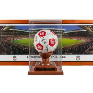 AFL/VFL posters memorabilia - price guide and values