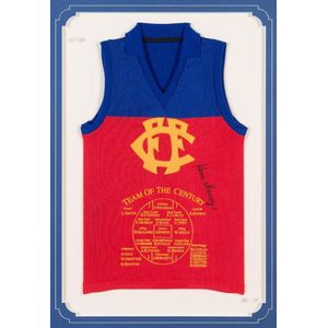 Souvenir or collectable Fitzroy Football Club jumpers - price guide and ...